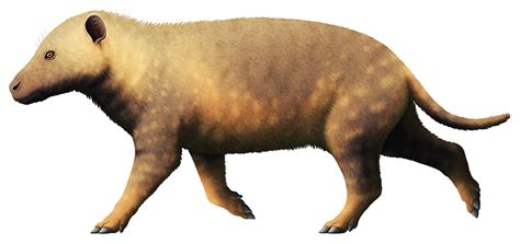 Discuss Everything About Dinopedia Fandom