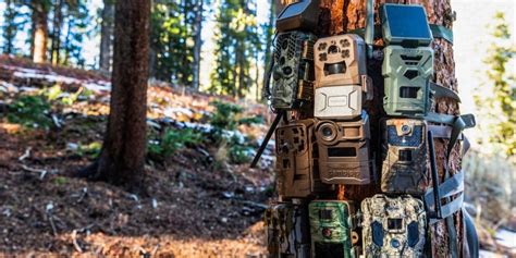 Bushnell Trail Camera Review Unveiling Natures Secrets