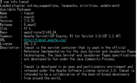 【第2回】aws ec2にnginx tomcat correttoでjava11環境を作る tech projin