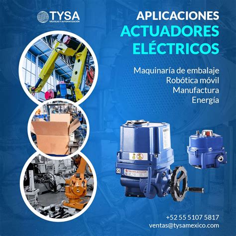 Tysa De México Posted On Linkedin