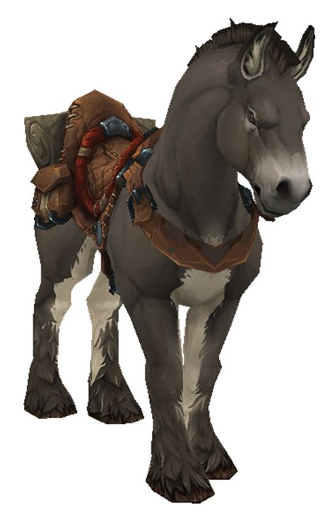Lil Donkey True Endgame