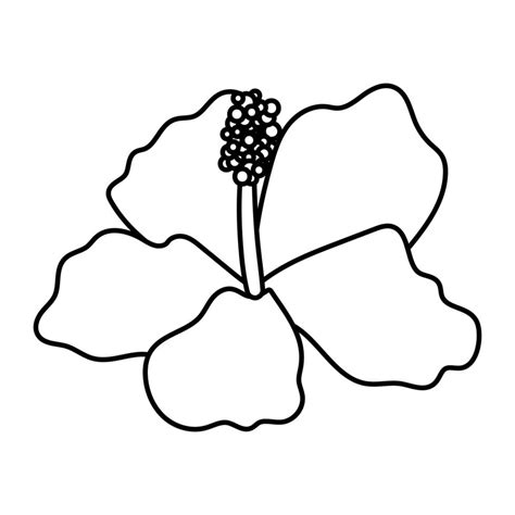 Bunga Raya Clipart Black And White