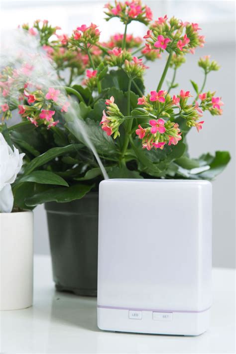 Aroma Lite Diffuser Doterra Essential Oils