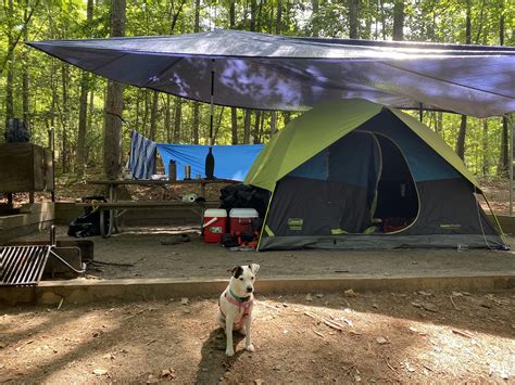 How To Set Up Tarp Over Tent Ultimate Guide For Easy Shelter Buzzlyo