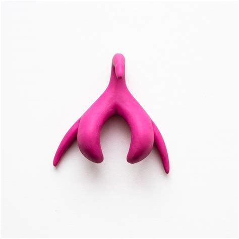 Anatomical Clitoris Shine Sa