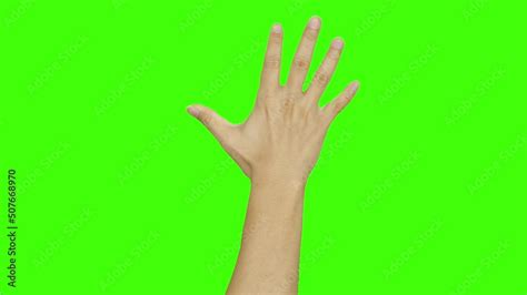 Grab Screen