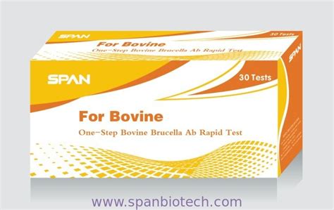 Bovine Brucella Ab Test
