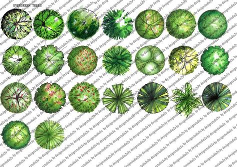 2d Plan View Trees