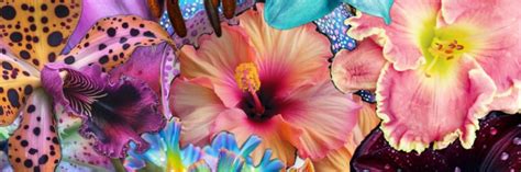 Missaylathegoddess Aylatheegoddess Posts And Replies X
