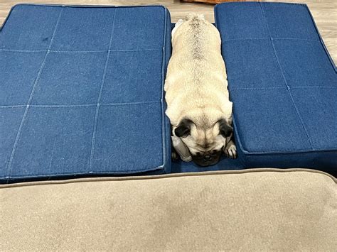 Keeping Up With The Shields