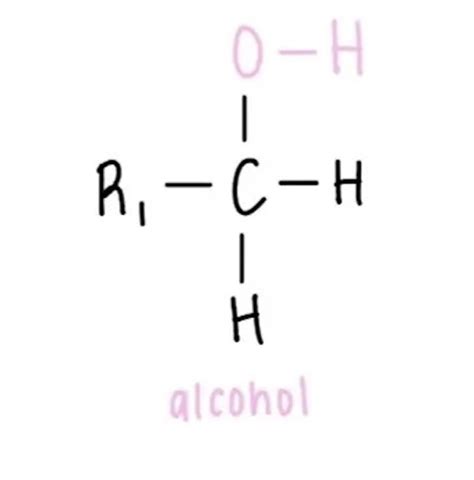 Orgo 1 Nucleophiles And Electrophiles Functional Groups Flashcards