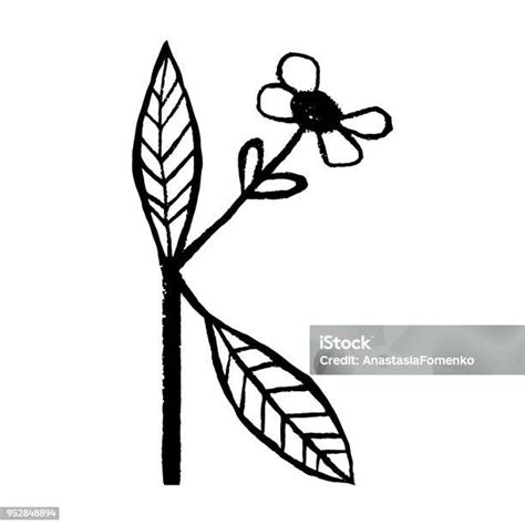 Handdrawn 로마자 편지 K손으로 그린 꽃 글자 디자인에서 만든 알파벳의 꽃의 요소 봄 꽃 Abc 벡터에 있는 요소입니다 0명에 대한 스톡 벡터 아트 및 기타 이미지