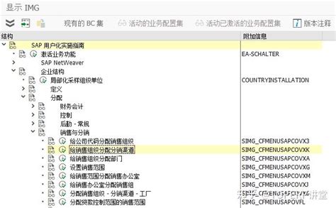 Sap Sd模块后台配置全流程（上） 知乎