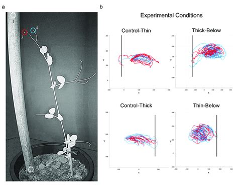 The Landmarks Considered And Examples Of The Spatial Trajectories A Download Scientific
