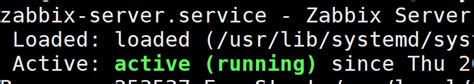 zabbix server starts error job for zabbix rvice faird because