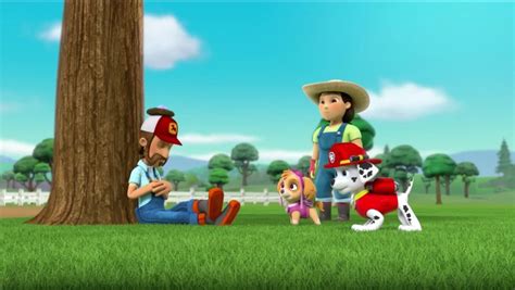 Farmer Yumigallerypups Save The Songbirds Paw Patrol Wiki Fandom