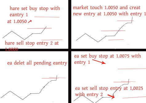Need Creat A Simple Hedge Ea An Order To Develop The Trading Robot At