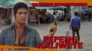 Agila Ng Maynila 1988- Fpj ( HD Full Movie ) - BiliBili