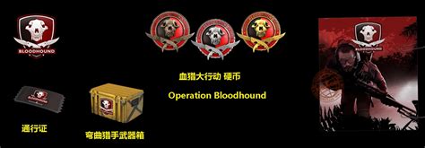 Cs Go Cs2中的音乐盒与展示品勋章胸章徽章获得条件 哔哩哔哩