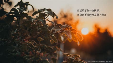 数理方程突击复习 5、拉普拉斯方程的格林函数法 数理方程总复习总结5 格林函数法例题 csdn博客