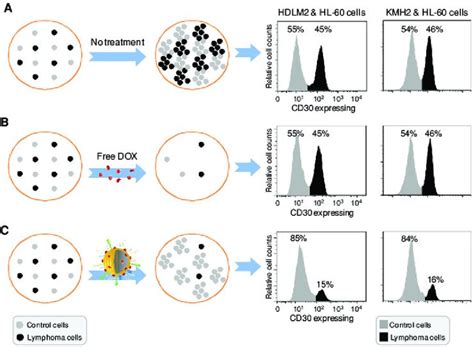 Figure 6 From An Ultra Ph Sensitive And Aptamer Equipped Nanoscale Drug Delivery System For