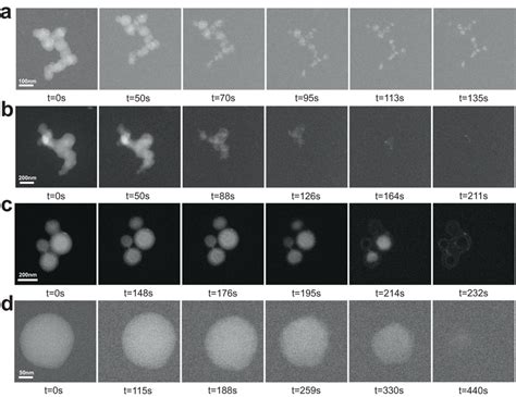 Oxidation Processes Under In Situ Tem A Young Soot B C Partially
