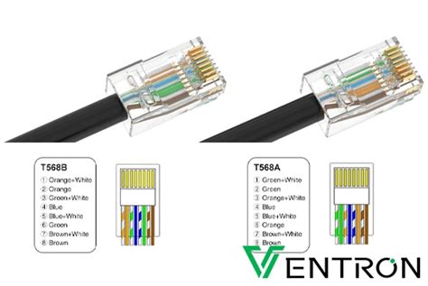 Rj45 Color Code T568a Vs T568b Which Should You Use Ventron