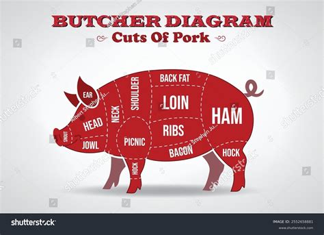 Set Illustration Butcher Diagram Pork Cuts Stock Vector Royalty Free 2552658881 Shutterstock