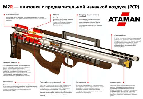 Pneumatic hunting weapon: well forgotten old