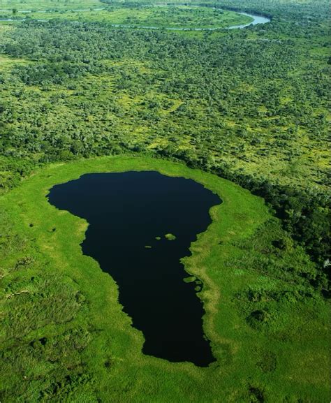 Brazil Saves The Day Pantanal Wetlands Conservation Spree In Full