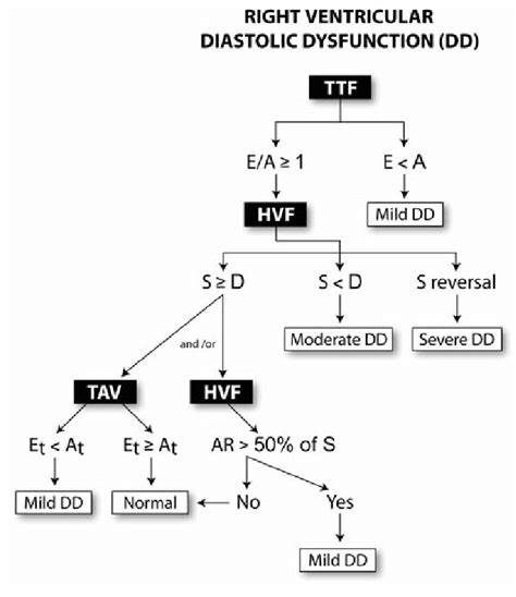 Algorithm Used In The Diagnosis And Classification Of Right Ventricular Download Scientific