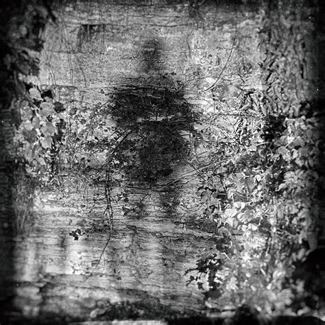 Dissolution Exhibition At Gallery 44