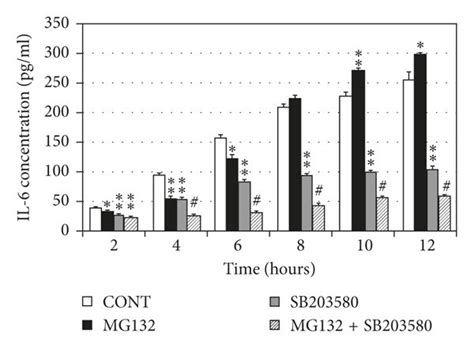 Inhibition Of P38 Mapk Blocks Proteasome Inhibition Induced Download Scientific Diagram