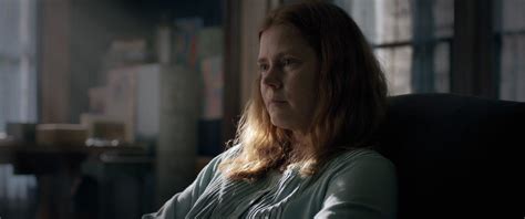 Amy Adams Fan