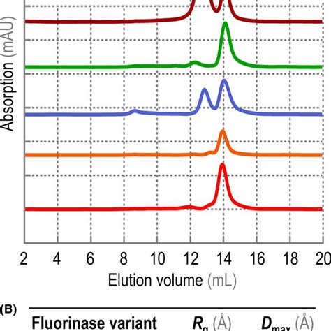 A Analysis Of Wild‐type Wt Fla And Rationally Engineered Mutants By Download Scientific