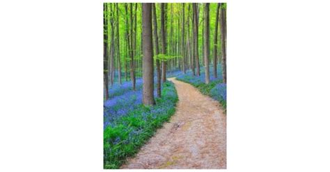 Joyce Birch Ormston Obituary 2023 Lynchburg Va Tharp Funeral Home And Crematory Madison