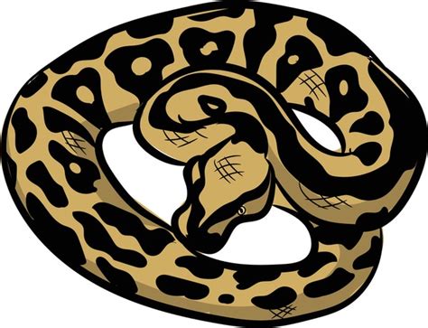 Royal Python Logo