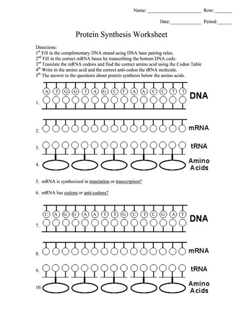 Answer Key Protein Synthesis Worksheet Complete With Ease Airslate