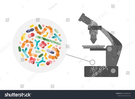 Probiotics Under Microscope Good Lactic Acid Stock Vector Royalty Free