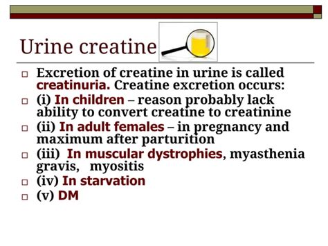 Biochemical Testing Of Renal Function 1 Pdf