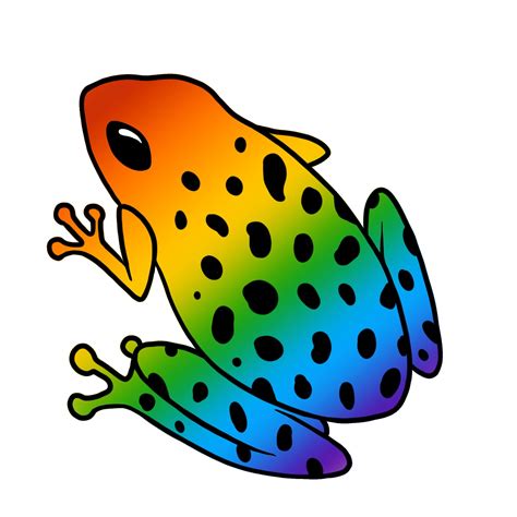 Rainbow Poison Dart Frogs