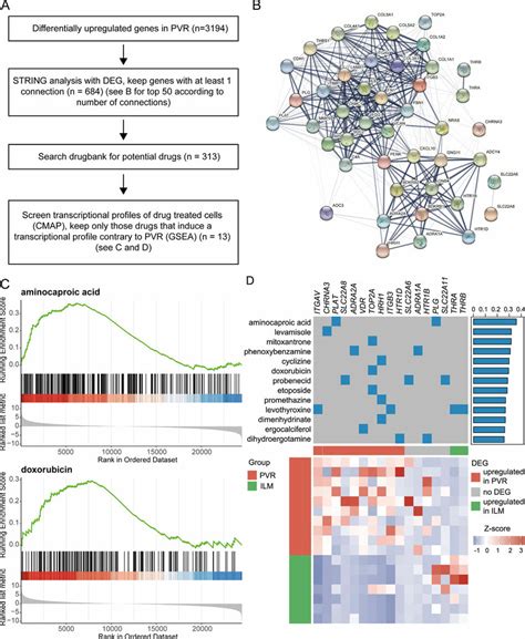 Transcriptome Based Drug Repurposing A Overview Of Analysis B