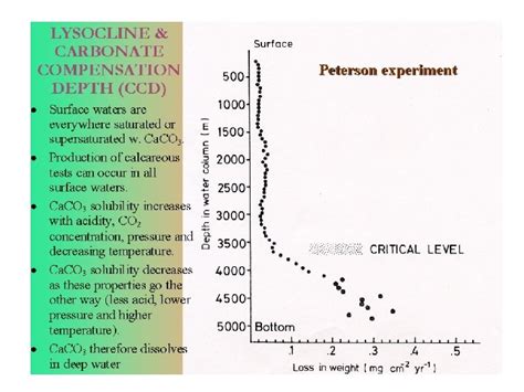 Chapter 4 Marine Sediment Classification A Shape Size