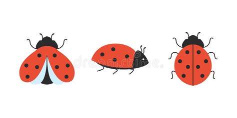 Ladybug In Different Positions With Open Wings Closed Wings And Side View Set Of Cute Cartoon