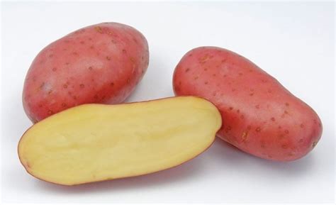 Rhs Vegetables Flashcards Memorang