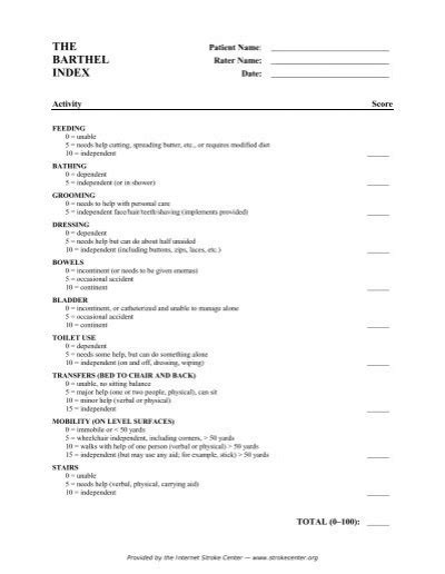 The Barthel Adl Index Gu