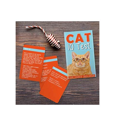 Gadget Man Ireland Cat Iq Test