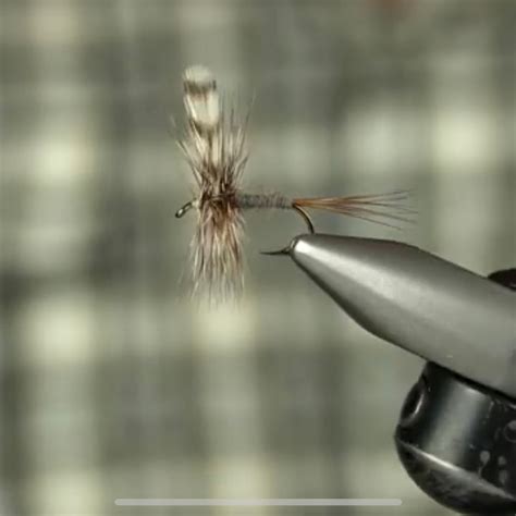 Adams Traditional Dette Flies