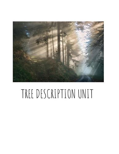 Narrative Writing Trees Teaching Resources