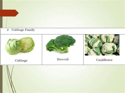 Prepare Vegetable Dishes Ppt Cookery 12 Ppt